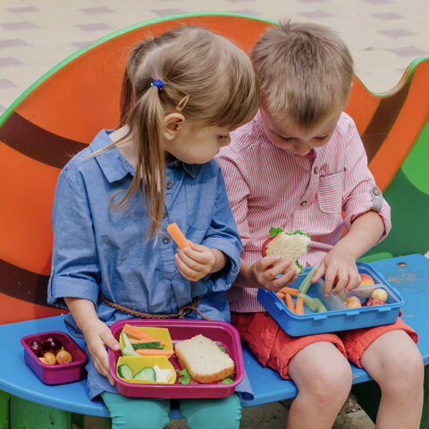 Feeding Therapy for kids | Build a positive relationship with food and ...